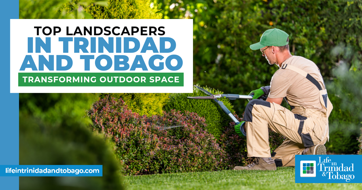 Top Landscapers in Trinidad and Tobago: Transforming Outdoor Spaces ...